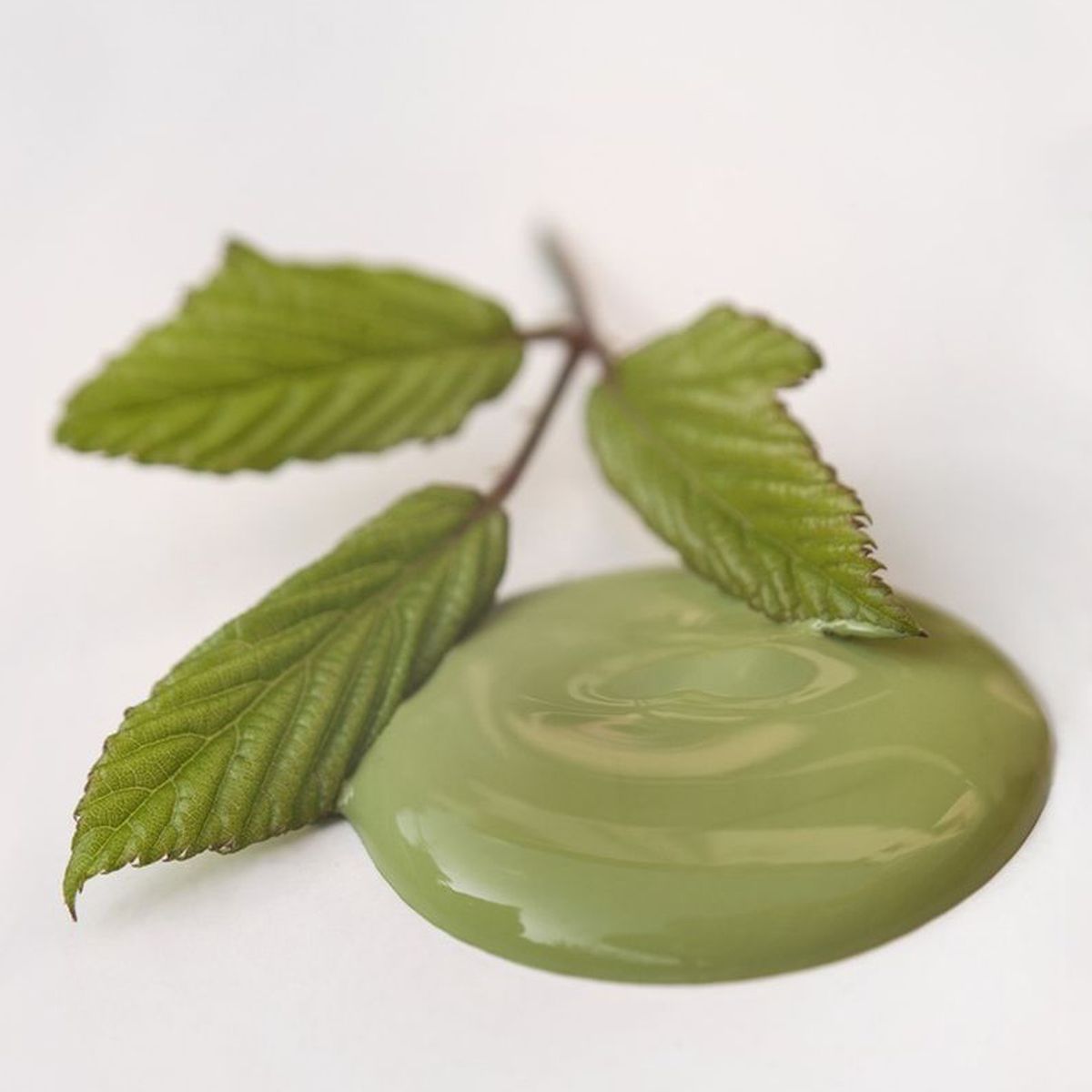 Lavish Lime kalkmaling – Limegrøn maling | JDL kalkmaling - 100ml - fra ...